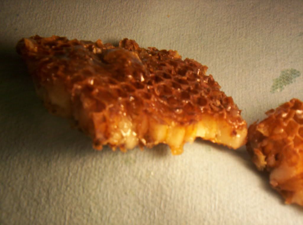 Weird looking white stuff in comb. | Beesource Beekeeping Forums